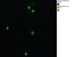 howto:diamond_nv_centers [Time-Resolved Fluorescence Wiki]