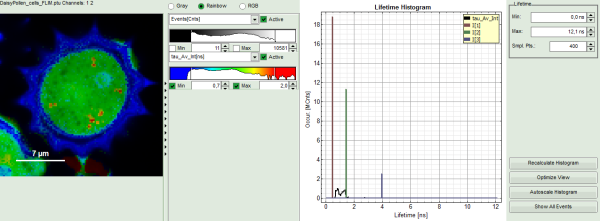 howto:lifetime_fitting_using_the_flim_analysis [Time-Resolved ... howto:lifetime_fitting_using_the_flim_analysis [Time-Resolved ...